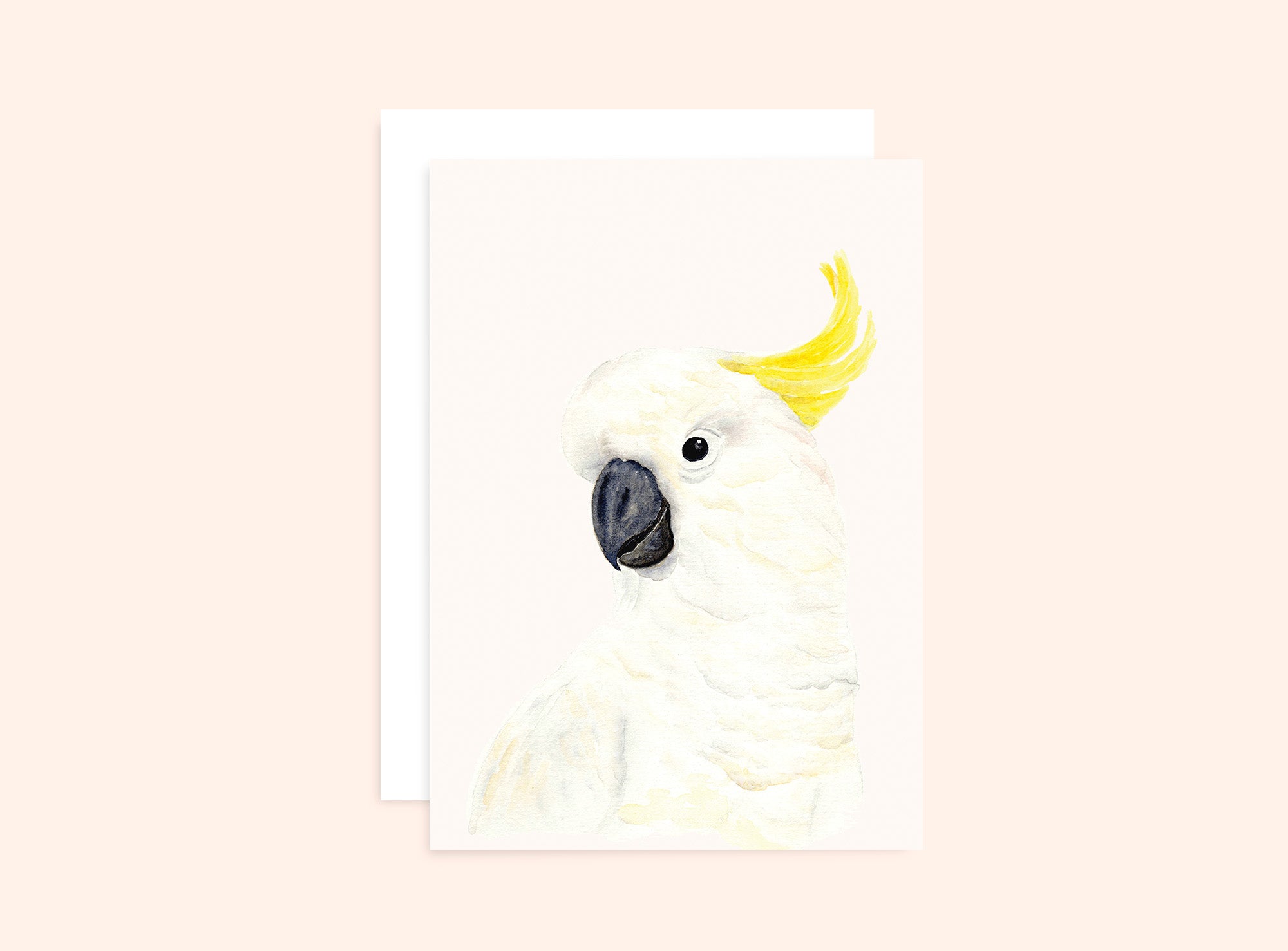 Sulphur-crested Cockatoo Card – Breezy Bird Studio